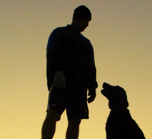 LA CIENCIA Y EL VÍNCULO ENTRE PERROS Y SERES HUMANOS | Prisionero en ...