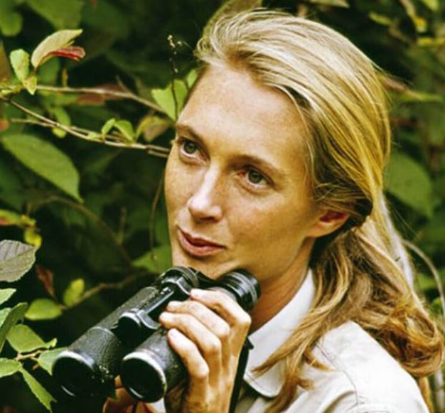 El Planeta de Jane Goodall – Prisionero en Argentina